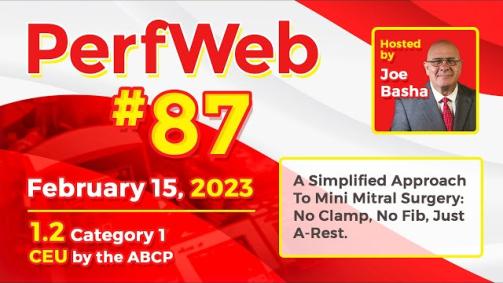 A simplified approach to mini mitral surgery: No clamp, no fib, just a ...